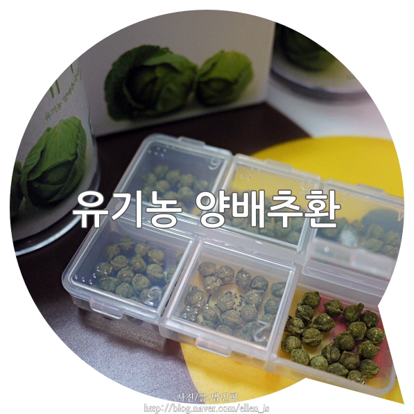 유기농 양배추환 유기농마루 네이버 블로그