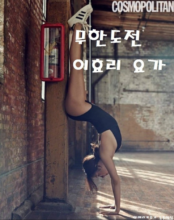 무한도전 이효리 요가 등촌역필라테스요가다이어트무한도전이효리아메리카요가 네이버 블로그