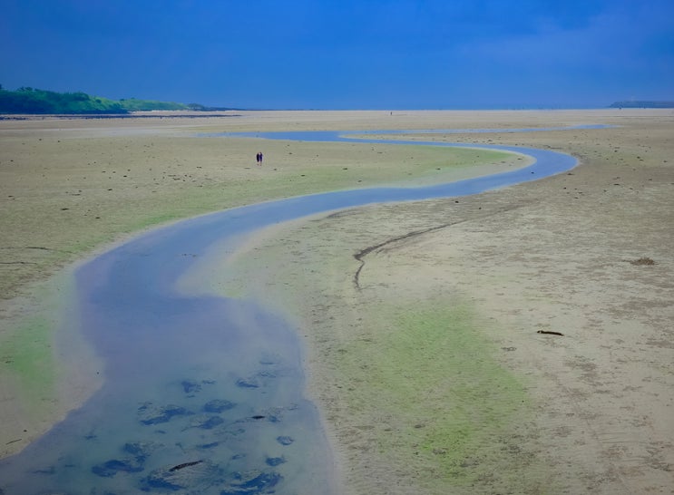 Lisa Lynne - Isla Del Luna : 네이버 블로그