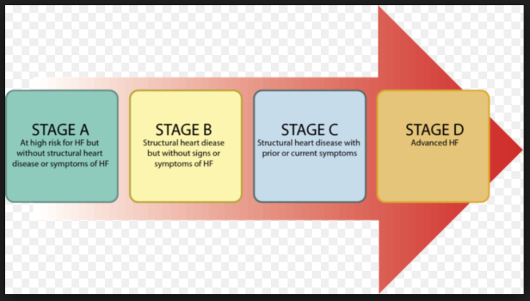 Heart failure, stage and NYHA class : 네이버 블로그