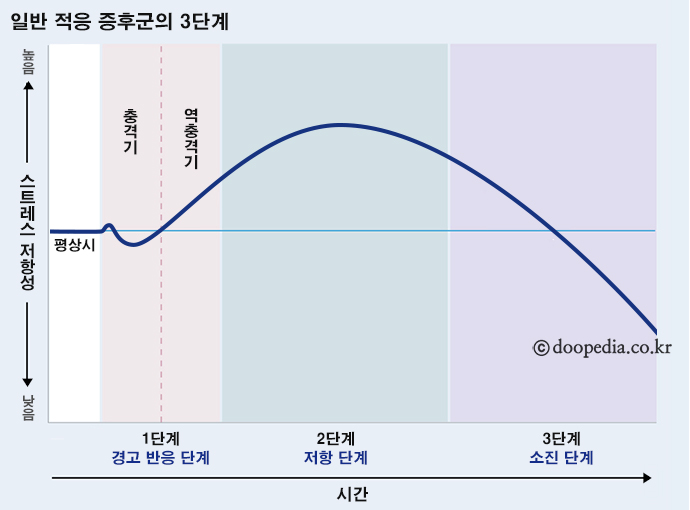 스트레스 3단계 - Hans Selye : 네이버 블로그