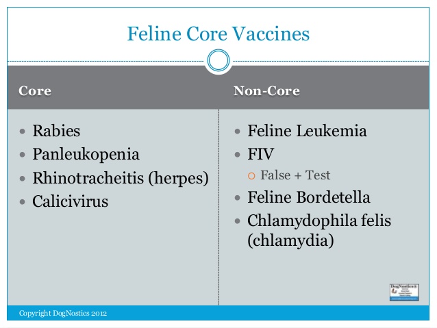 [논현 노바약국] 펠리샷 PHC: 고양이 필수접종 3종 종합백신 : 네이버 블로그