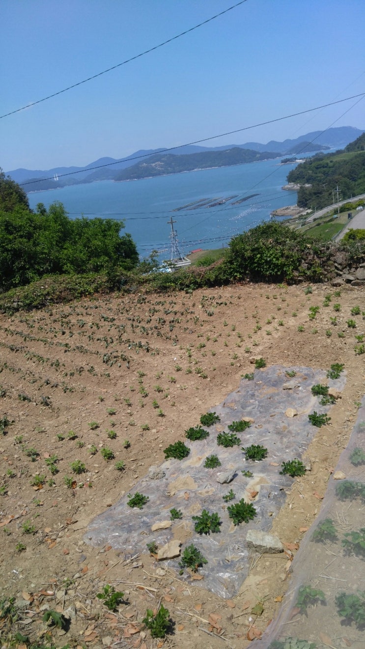 여수 금오도와 항일암 (2) : 네이버 블로그