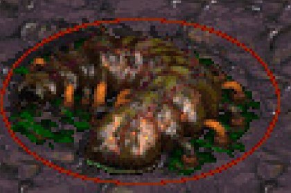 스타크래프트1 네임드 정신체 종류 : 네이버 블로그