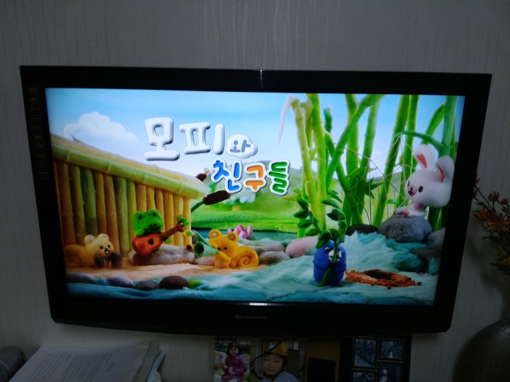 EBS 1TV - 모피와 친구들 OP사진 (2017.07.10) : 네이버 블로그