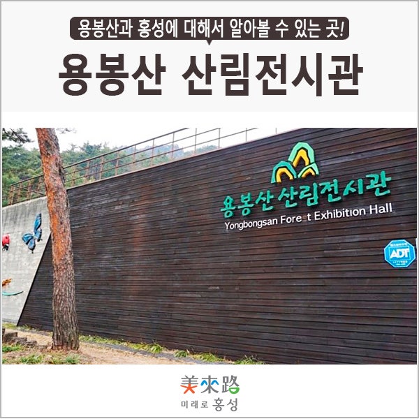 홍성 가볼만한곳 용봉산 산림전시관 네이버 블로그