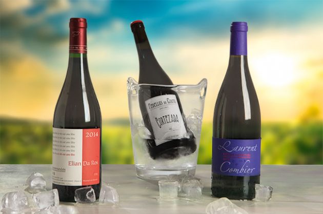 레드 와인도 칠링해야 하나요? : Best Reds for Summer Chilling - by Matt Walls ...