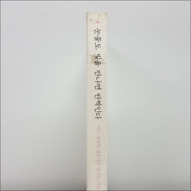 독후서평 사백일흔일곱번째 눈물도 빛을 만나면 반짝인다어느 성폭력 생존자의 빛나는 치유 일기 은수연 이매진