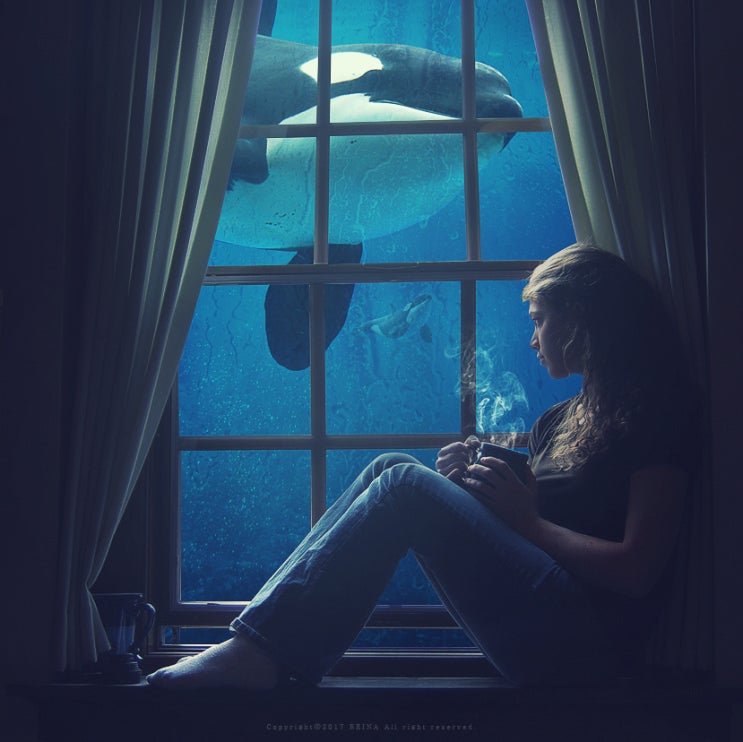 포토샵 튜토리얼 간단한 합성으로 수족관 분위기 만들기/Photoshop tutorial Making Underwater ...