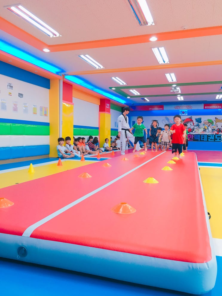 용인대 한백 태권도 air 매트 : 네이버 블로그