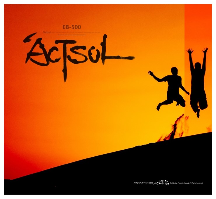 제품로고 상품디자인 캘리그라피_미생물분해효소 액솔 ACTSOL LOGOdesign : 네이버 블로그