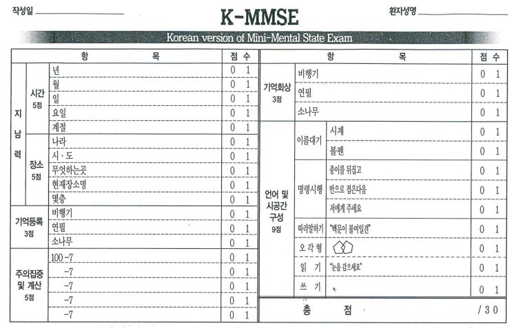 MMSE(Mini-Mental State Examination, 간이정신상태검사) : 네이버 블로그
