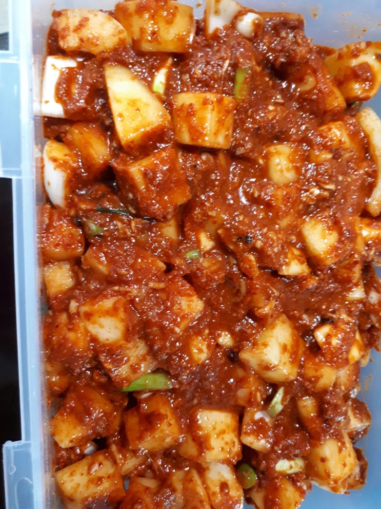 여름 깍두기 [만들기] : 네이버 블로그