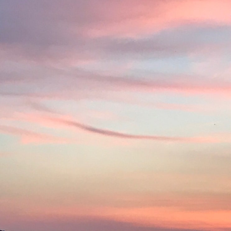 July Bye : 네이버 블로그