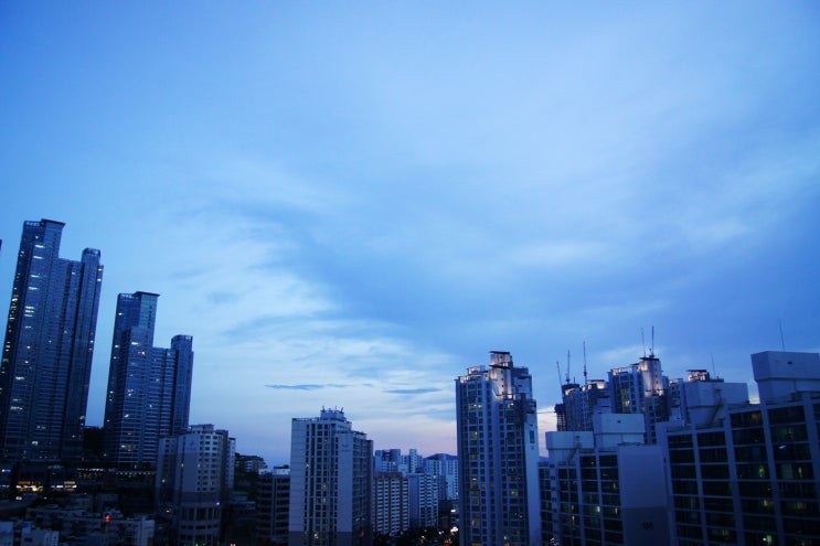 계룡산 신원사 갑사 : 네이버 블로그