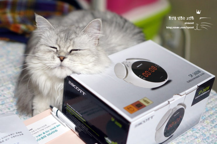 LED 탁상시계 스캇(SCOTT) 알람시계 SP-260 : 네이버 블로그