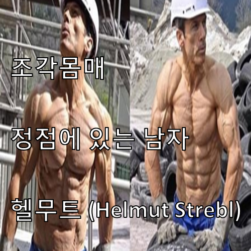 살면서 한번쯤 가져보고 싶은 몸- 보디빌더 (Helmut Strebl) : 네이버 블로그
