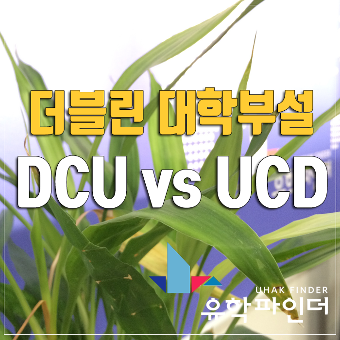 더블린 대학부설 DCU와 UCD 비교 분석 : 네이버 블로그
