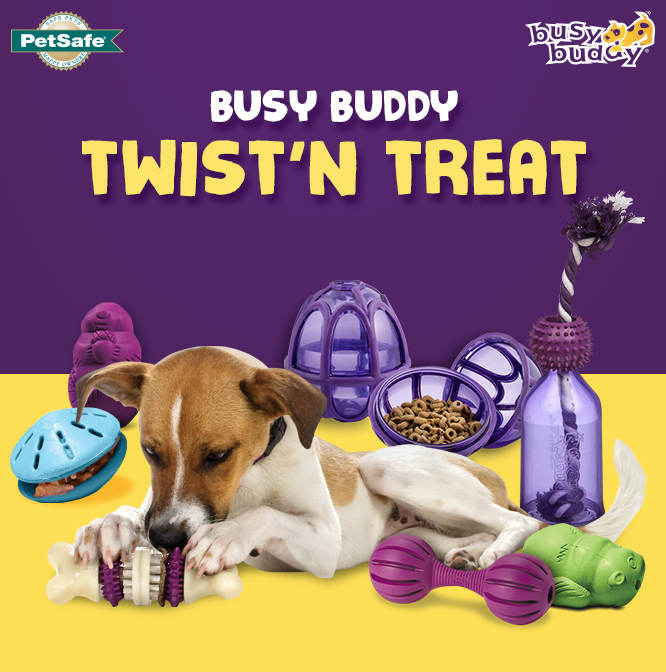 강아지장난감 펫세이프의 비지버디[Petsafe busy buddy] : 네이버 블로그