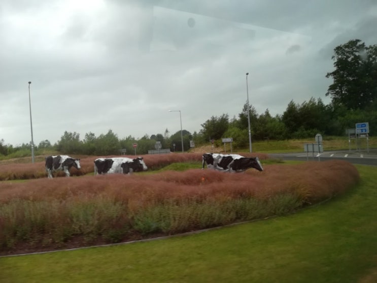 아일랜드 여름 휴가: 가족 모임후 산보 : 네이버 블로그