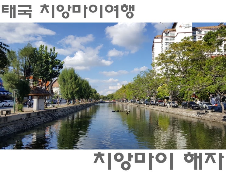 태국 치앙마이여행 러이끄라통을 준비하는 치앙마이 그리고 해자 주변 산책 네이버 블로그