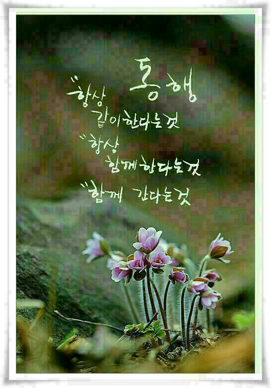 와룡산 한바퀴 돌아오면서 : 네이버 블로그