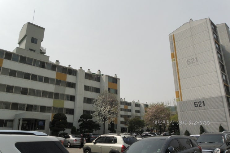 일산 아파트 중에서 강촌마을을 좋아하는 이유 네이버 블로그