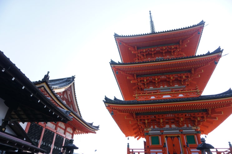 미러리스 소니A5100 번들렌즈 (무보정사진) : 네이버 블로그