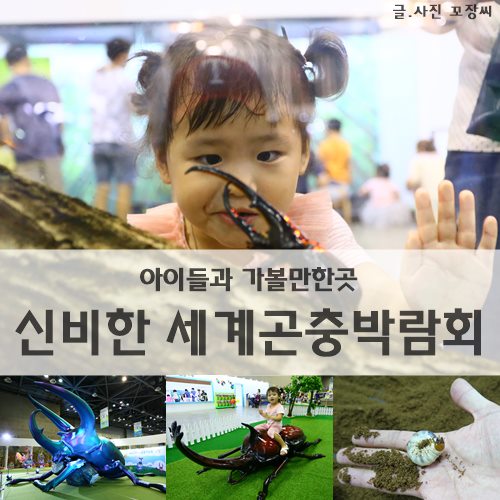 아이들과 가볼 만한 곳 신비한 세계곤충박람회 네이버 블로그