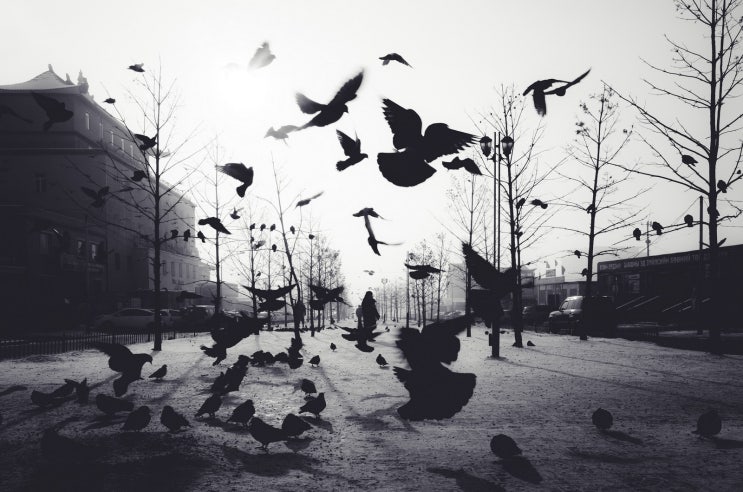 Shirren Lim - 흑백으로 담는 인물 & 풍경사진 : 네이버 블로그