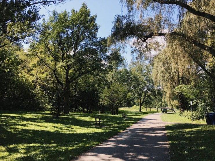 [설's 이야기] 뜨거운 여름 ing : 네이버 블로그