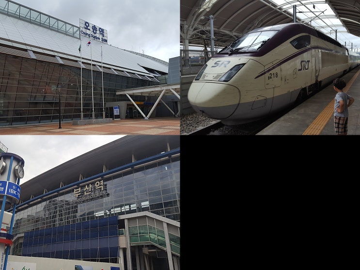 KTX와SRT의차이점]처음으로 고속열차 SRT를 타고 오송에서 부산을 편안하게 다녀왔네요 : 네이버 블로그