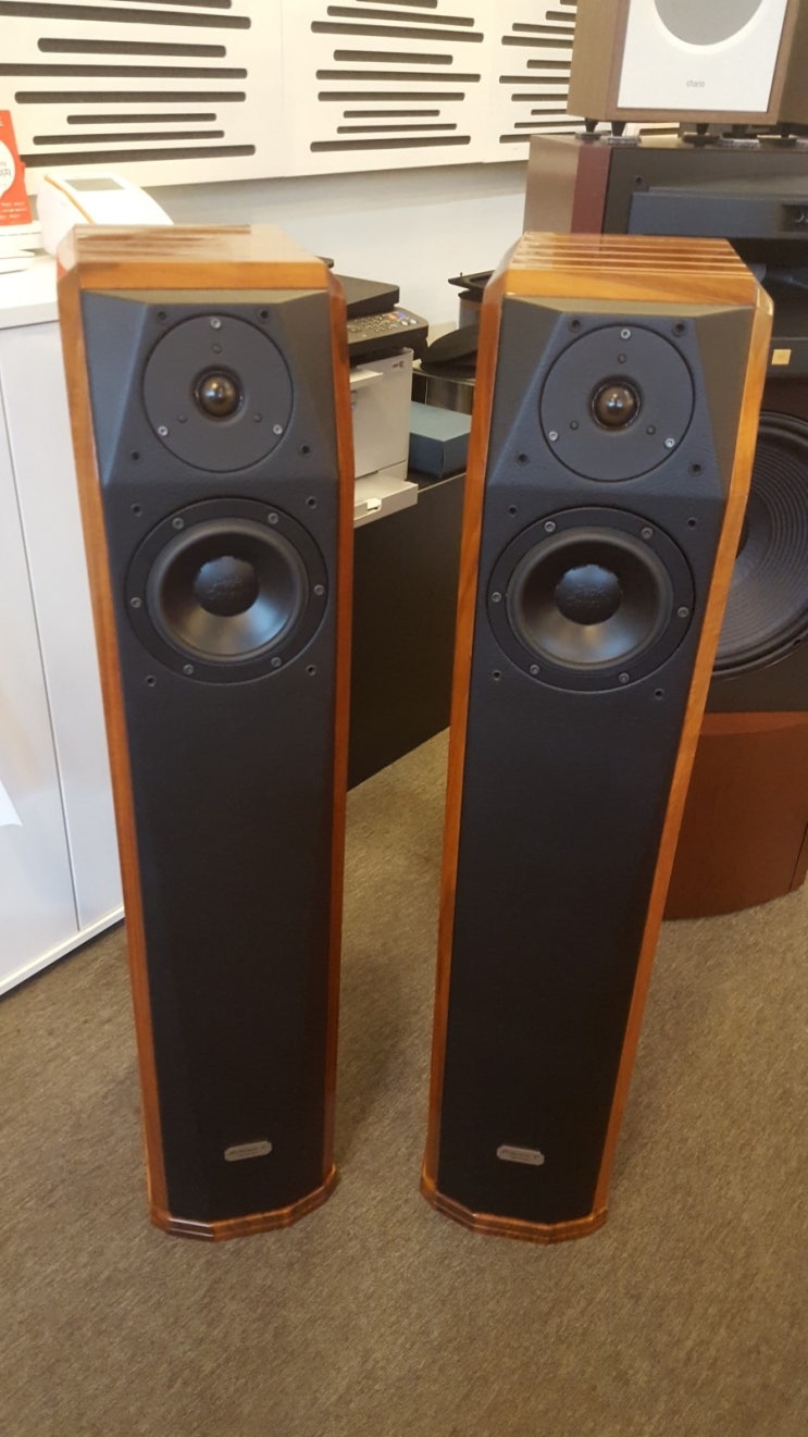 피크컨설트 (PEAK consult) 프린세스V 시그니처 (Princess V signature) : 네이버 블로그