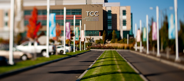 [미국 대학교] Tacoma Community College: TCC, 타코마 커뮤니티 컬리지, 미국 유학/편입, 워싱턴 ...