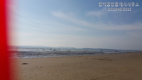 천지 여름휴가~안면도 청포대 해수욕장 조개잡기 체험 2탄~ 펜션 바빌론 네이버 블로그