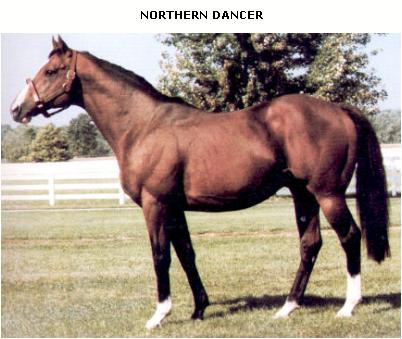 노던댄서(Nothern Dancer) 1961-1990 : 네이버 블로그