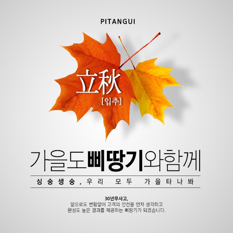 삐땅기 가을맞이 :: 가을에도 삐땅기와 함께 ♥ : 네이버 블로그