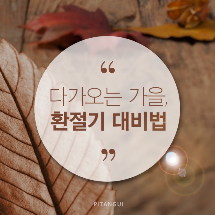 삐땅기 꿀팁 :: 깨알같은 가을철 환절기 대비법 : 네이버 블로그