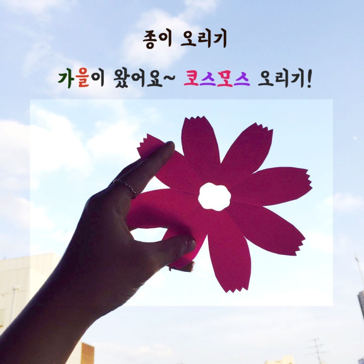 [종이오리기] 코스모스 : 네이버 블로그