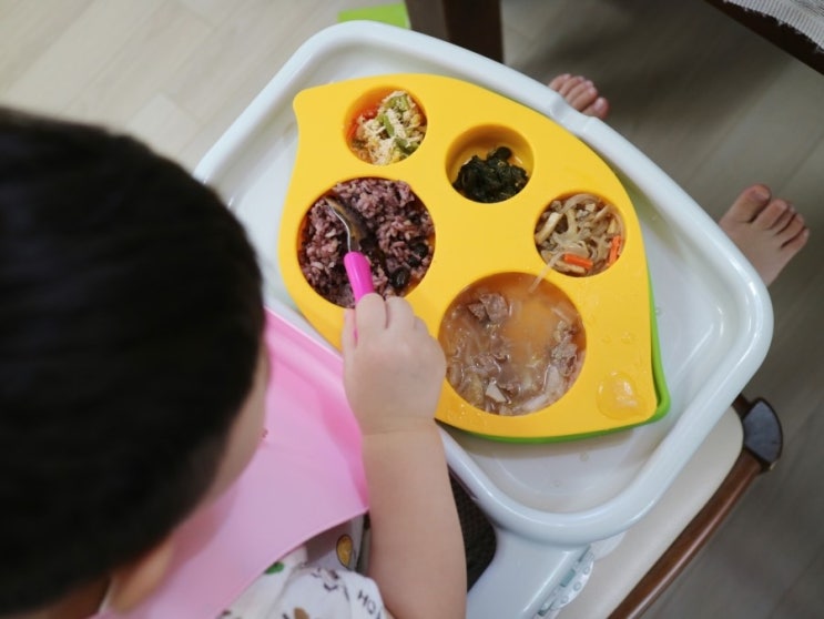 유아식판추천 모니키즈식판 유아 흡착식판으로 우리아이 식사시간을 즐겁게 ♪ 네이버 블로그