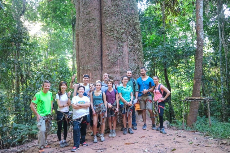 DAY 82-83, 라오스 훼이싸이 기번익스피리언스/짚라인 투어/Gibbon experience : 네이버 블로그