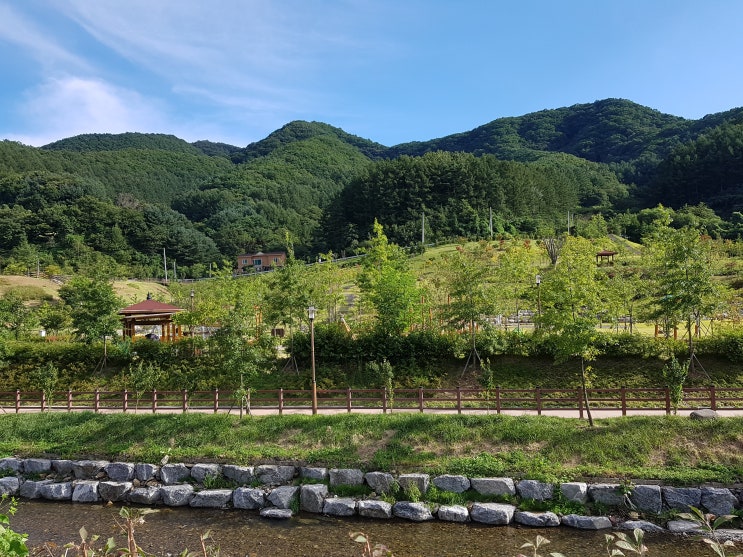 좌구산휴양랜드 종합 안내 : 네이버 블로그