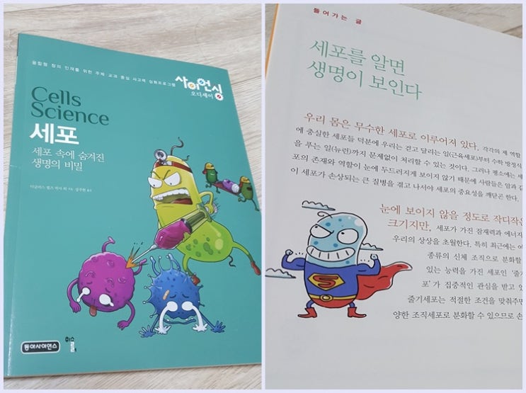 [사이언싱 오디세이] STEAM 초등과학 2학기준비 / 세포(Cells Science) : 네이버 블로그