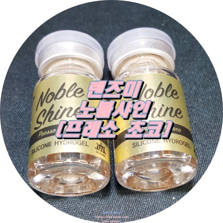 렌즈미 노블샤인 프레소쵸코 3 6개월 착용 가능한 실리콘 하이드로겔 렌즈 추천 네이버 블로그