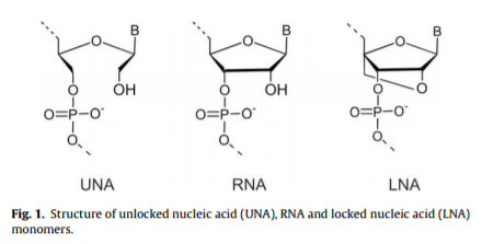 LNA : 네이버 블로그
