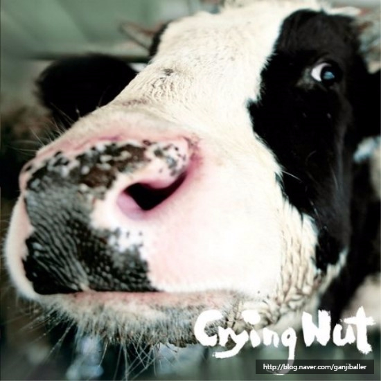 크라잉넛(Crying Nut) - 순이 우주로 : 네이버 블로그