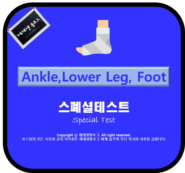 Bump Test, Percussion Test - Foot : 네이버 블로그
