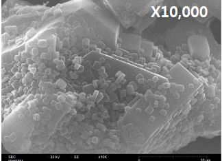 주사 전자현미경(Mini-SEM) 금속 샘플 이미지_1 : 네이버 블로그