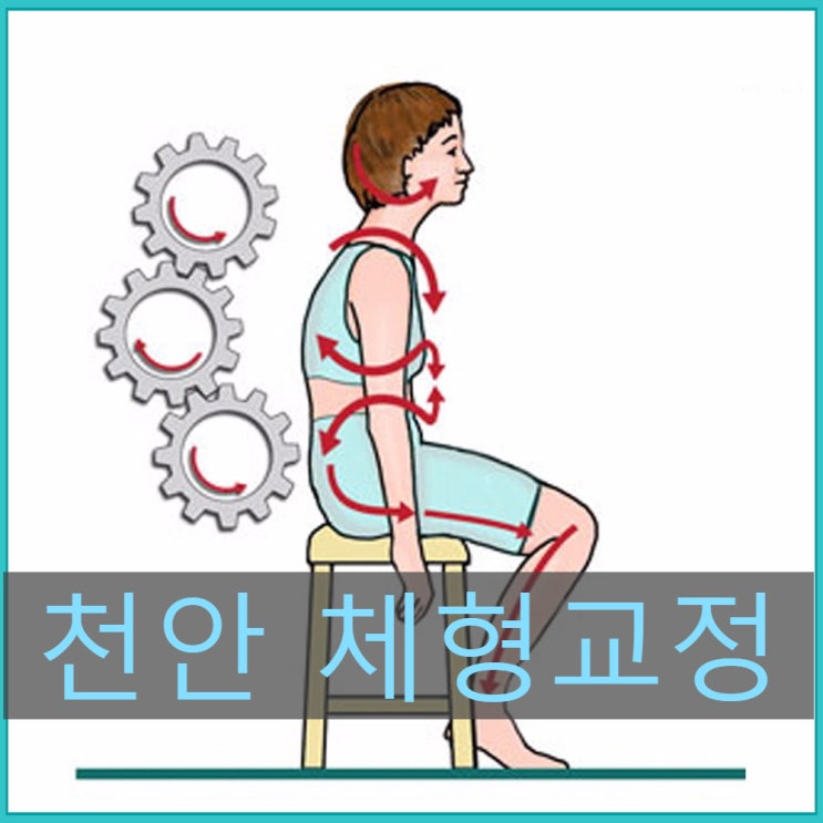 천안 체형교정 신부동 나래한의원 자세교정 치료 전문 시술시 알고 있어야 할 내용 아산 평택 오시는 길 추천 네이버 블로그