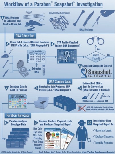 DNA phenotyping : Prediction of ancestry and physical appearance : 네이버 블로그